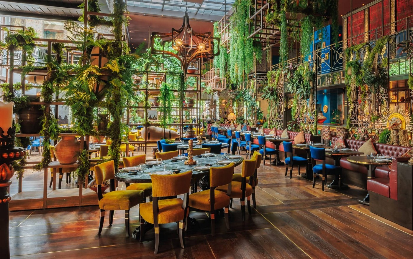 COYA Riyah's Refined Dining Experience.